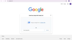 How to use Google Reverse Image Search to verify photos online ...